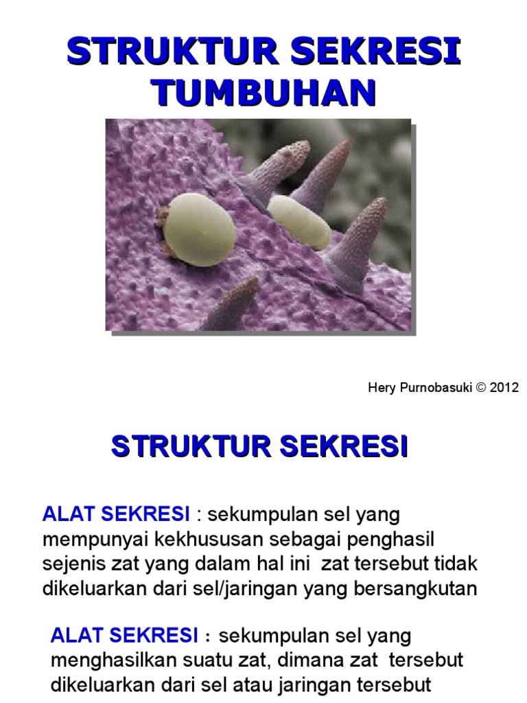 Struktur Sekresi | PDF