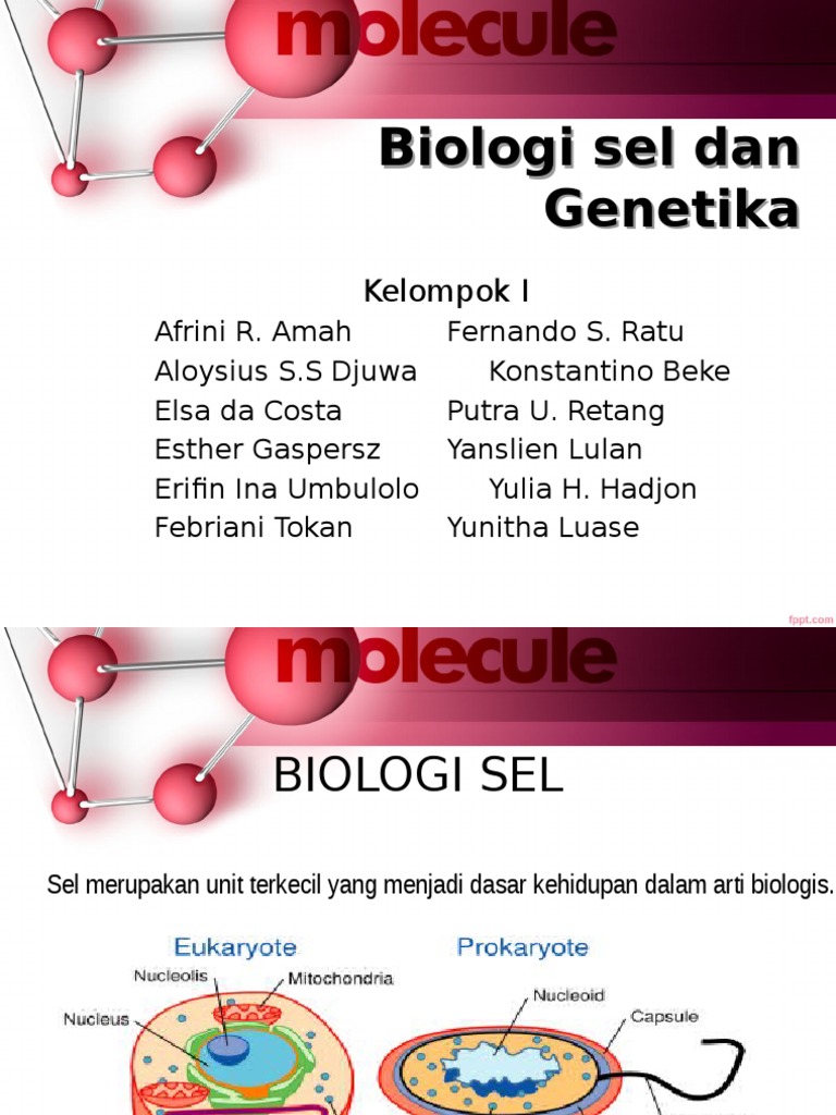 Biologi Sel Dan Genetika | PDF