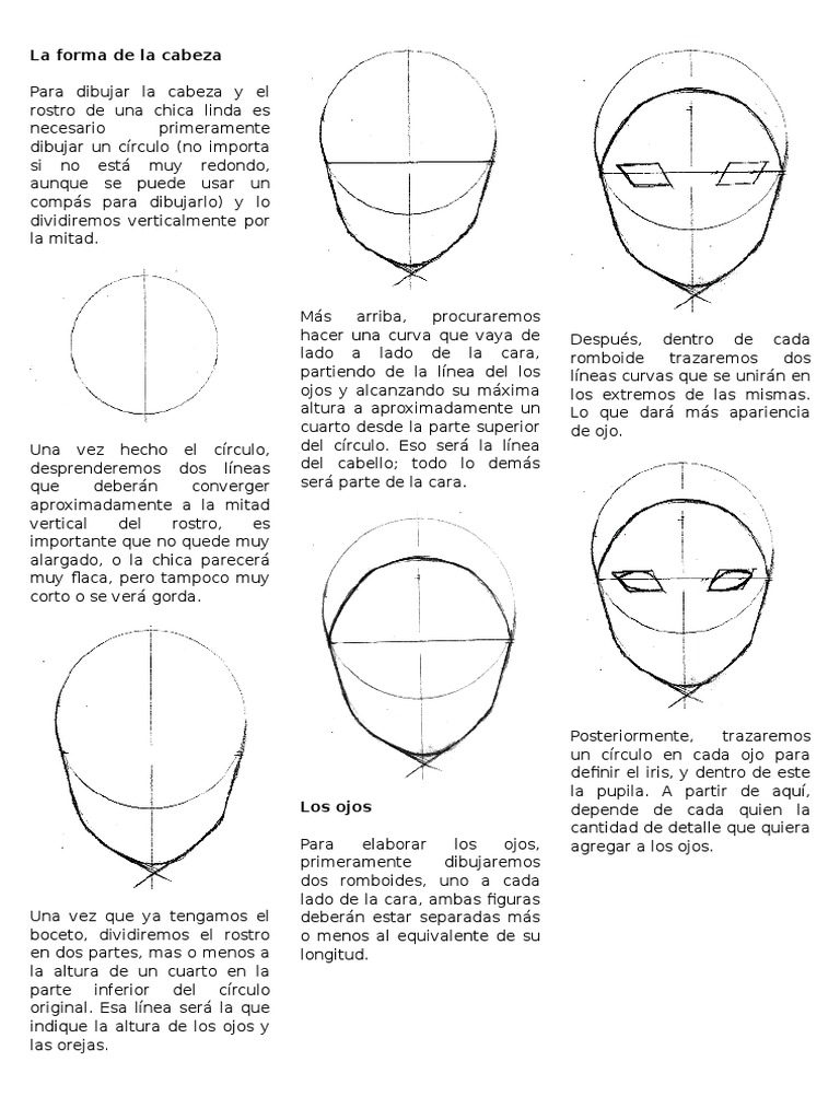La Forma de La Cabeza | Cara | Ojo