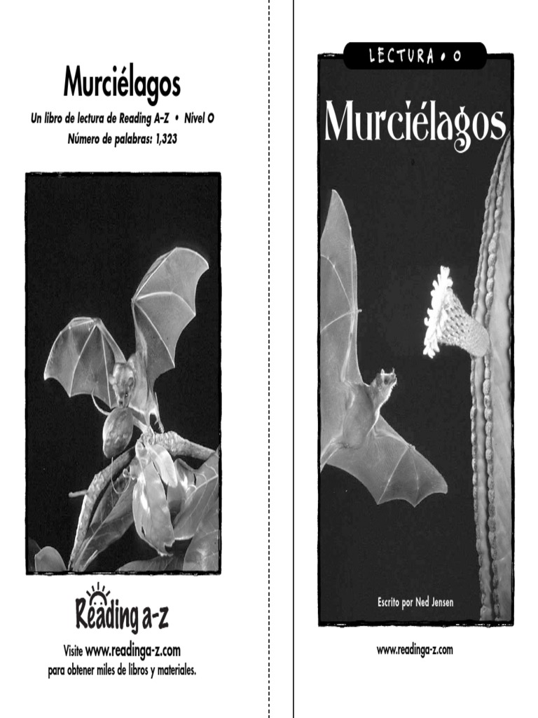 Murcielagos. Murciélagos. Visite para Obtener Miles de Libros y ...