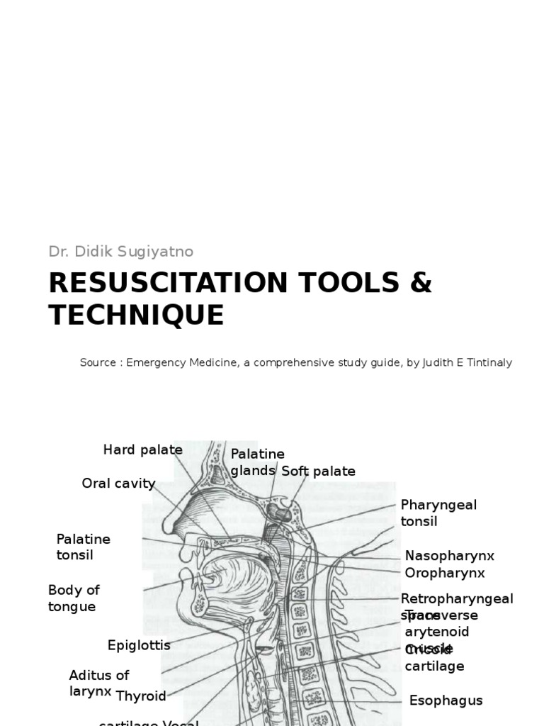 Resuscitation Tools and Technique | PDF | Larynx | Anatomical Terms Of ...