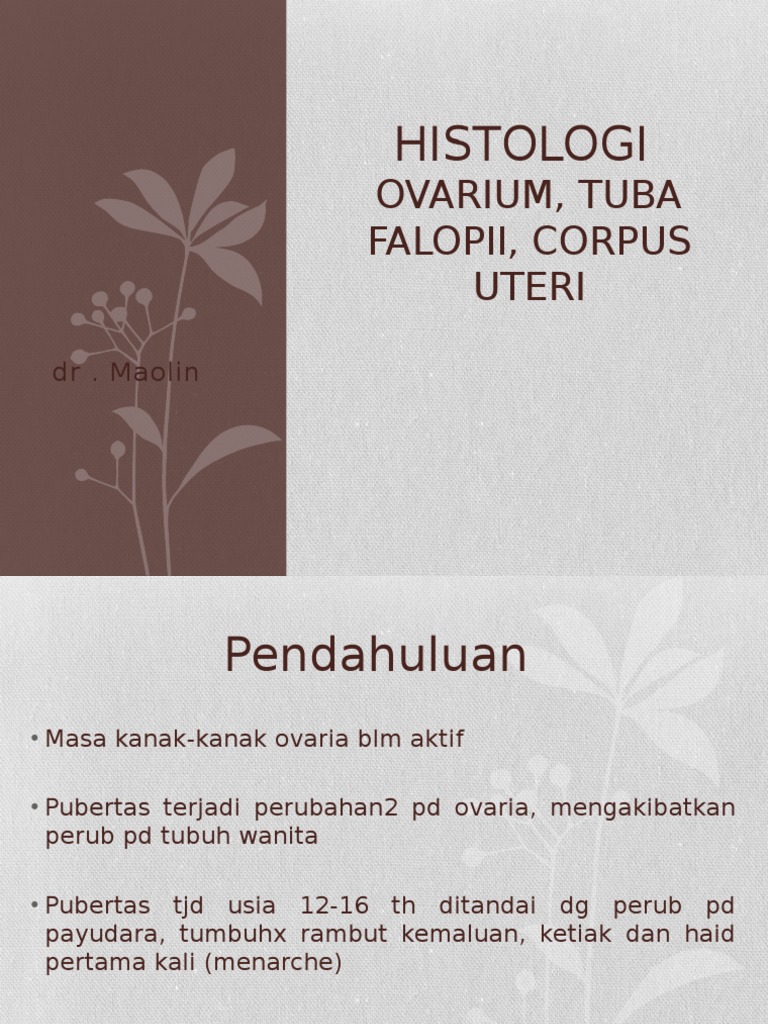 Histologi Ovarium, Tuba, Uterus | PDF