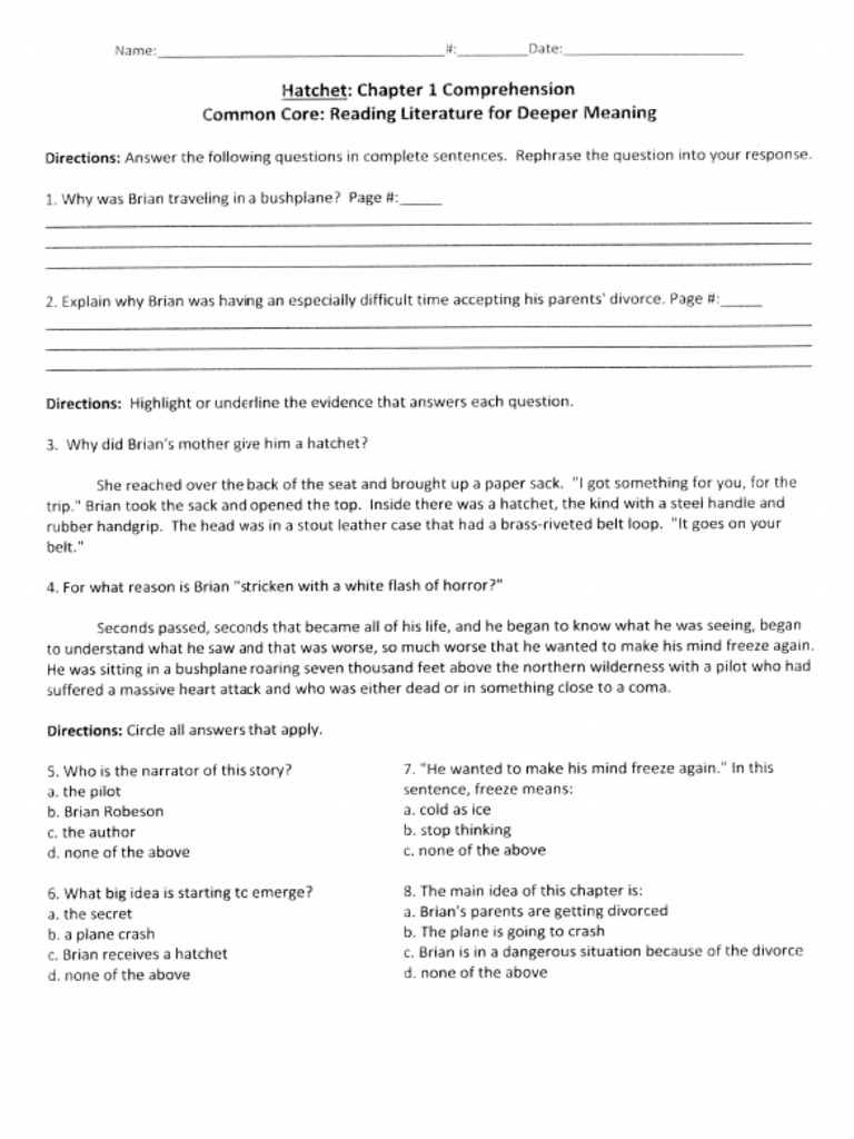 Hatchet Comprehension Amp Vocabulary Worksheets | PDF