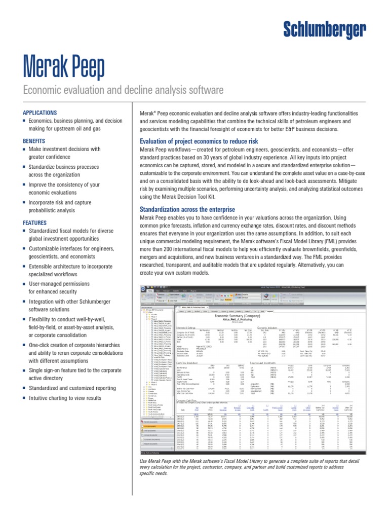 Merak Peep: Economic Evaluation and Decline Analysis Software | PDF ...
