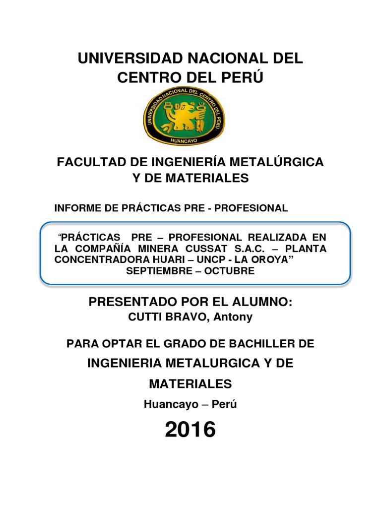 Caratula Del Informe | PDF