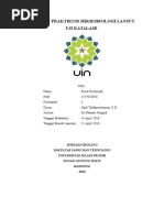 Laporan Praktikum UJI KATALASE BAKTERI | PDF