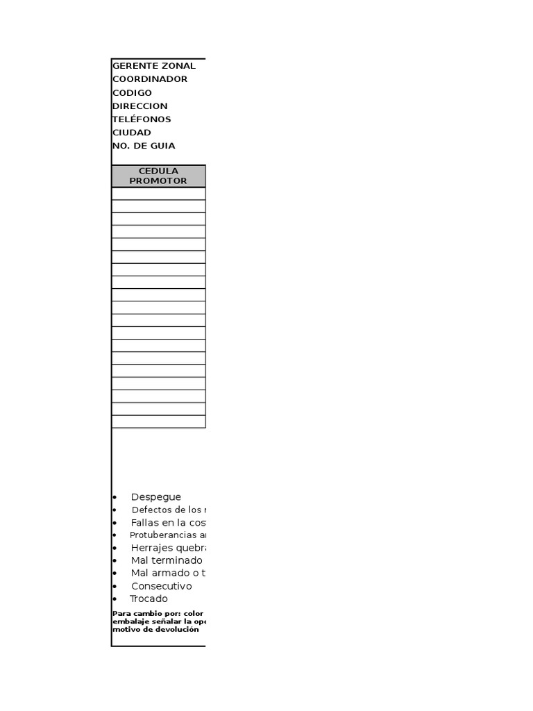 Formato Devoluciones | PDF