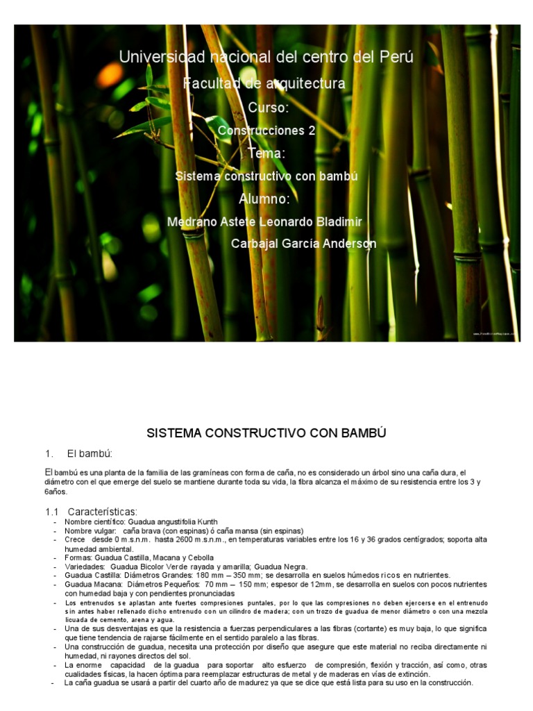 Sistema Constructivo con Bambú: Ventajas y Usos | PDF | Fundación ...