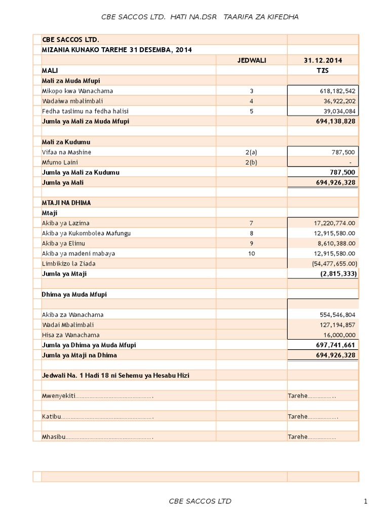 CBE SACCOS LTD. Financial Statements | PDF