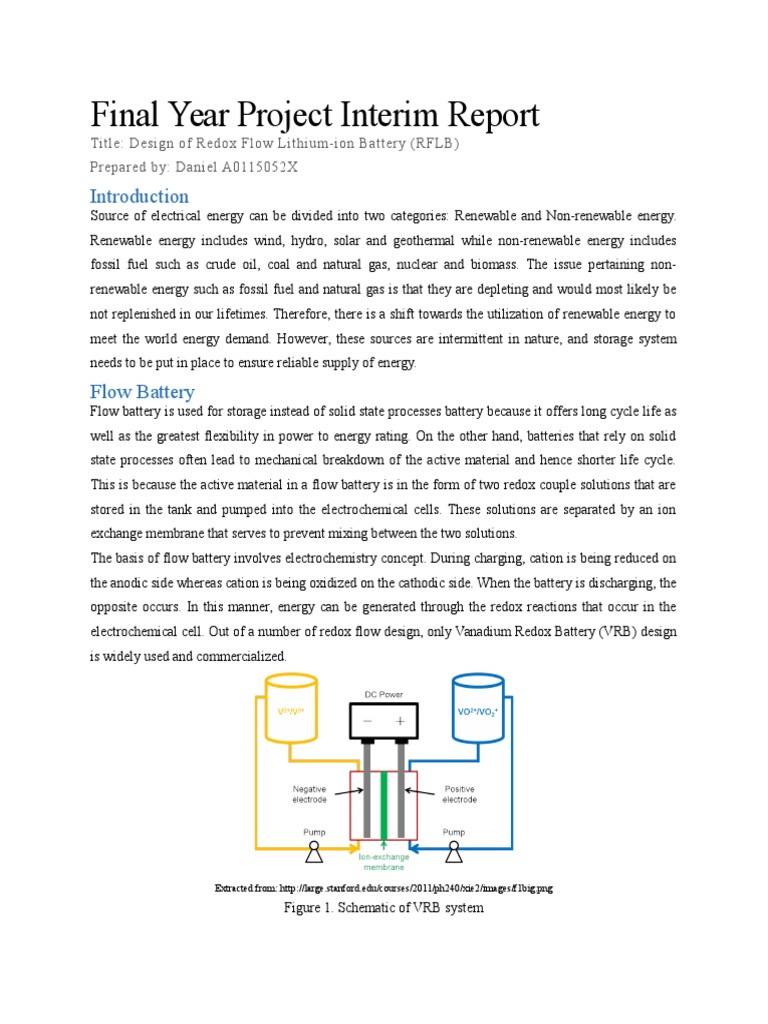 Final Year Project Interim Report | PDF | Chemical Reactor ...