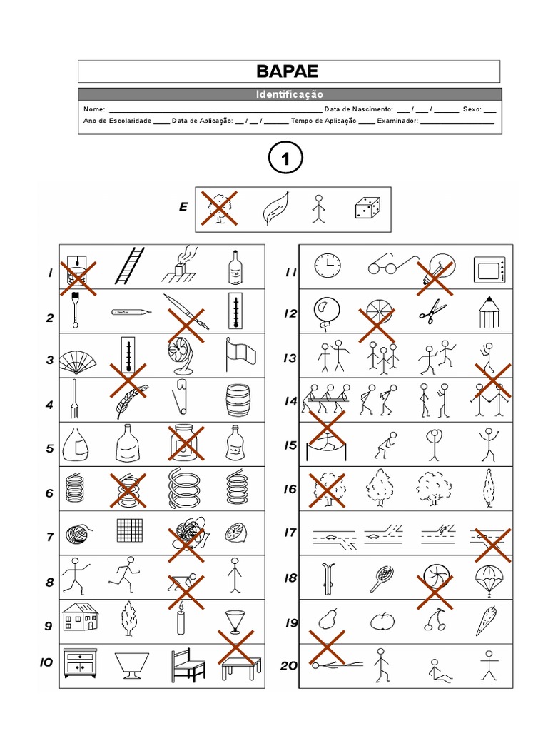 Grelha de Correcção BAPAE - Acetato
