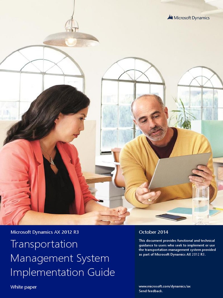 Transportation Management System Implementation Guide | PDF