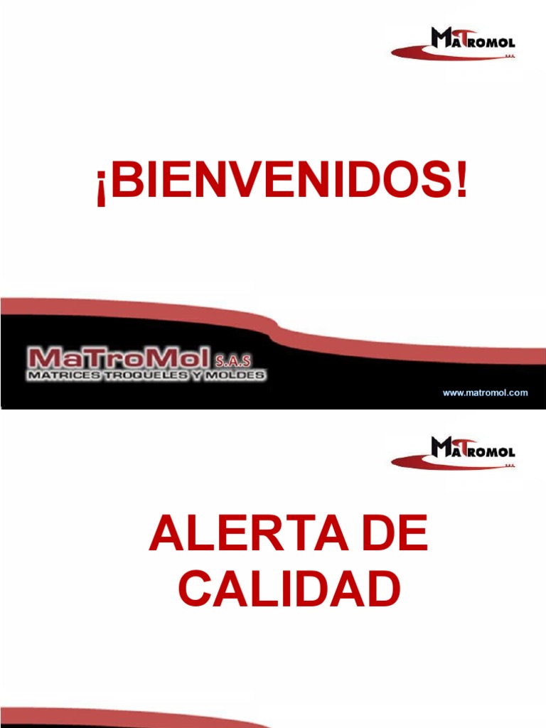Alerta de Calidad: Definición y Formato | PDF
