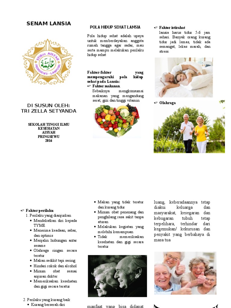 Leaflet Pola Hidup Sehat | PDF