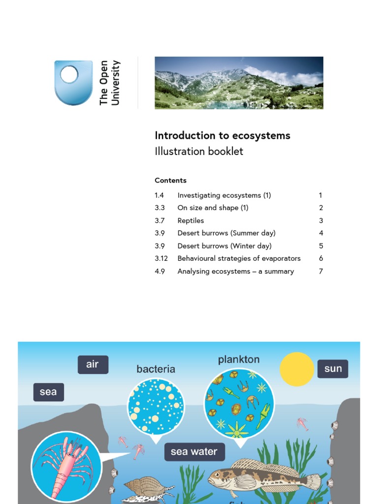 Introduction To Ecosystems: Illustration Booklet | PDF