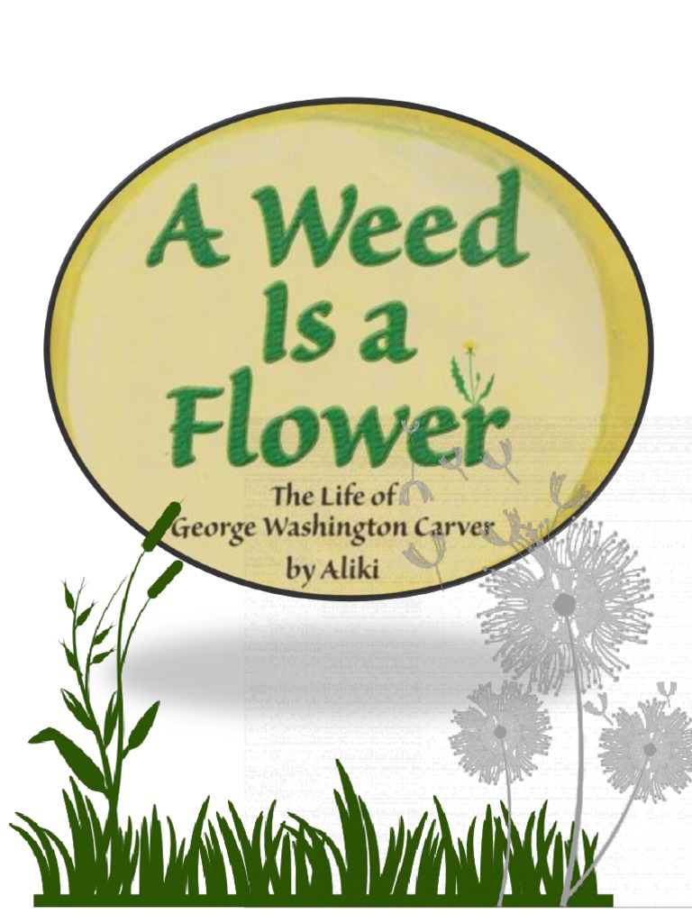 A Weed Is A Flower by Aliki | PDF