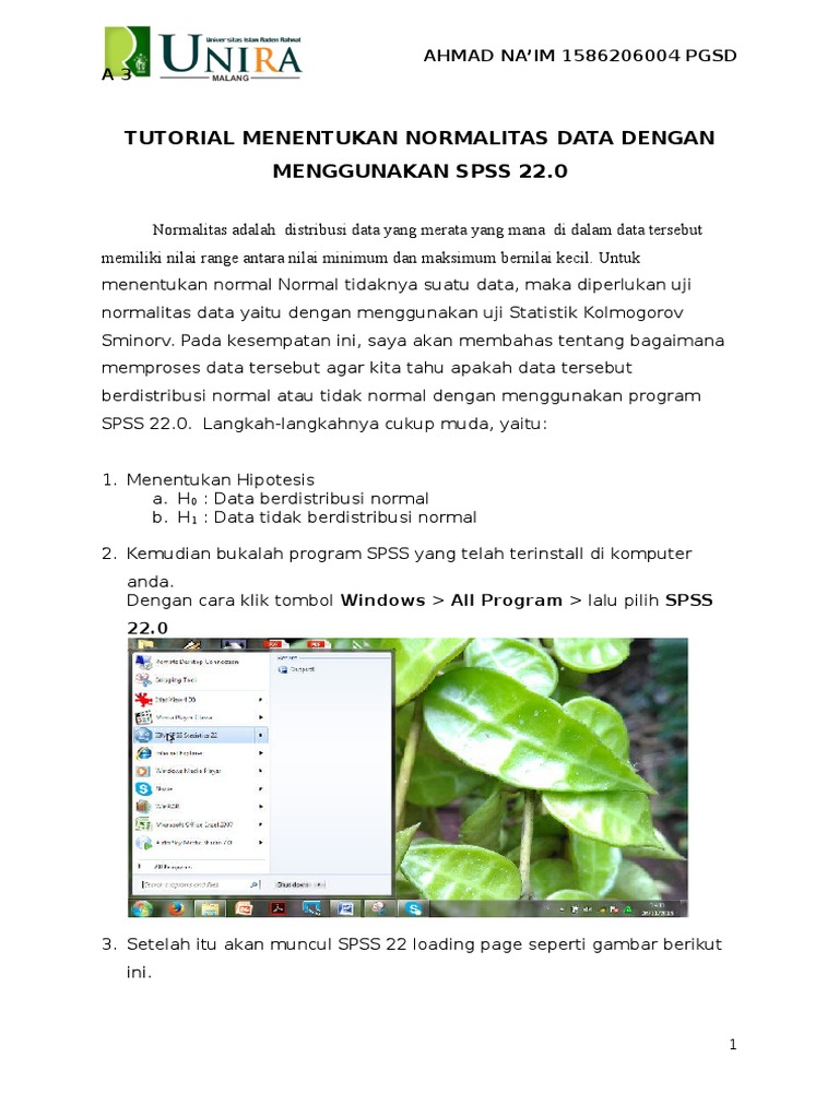 Tutorial Uji Normalitas Data | PDF