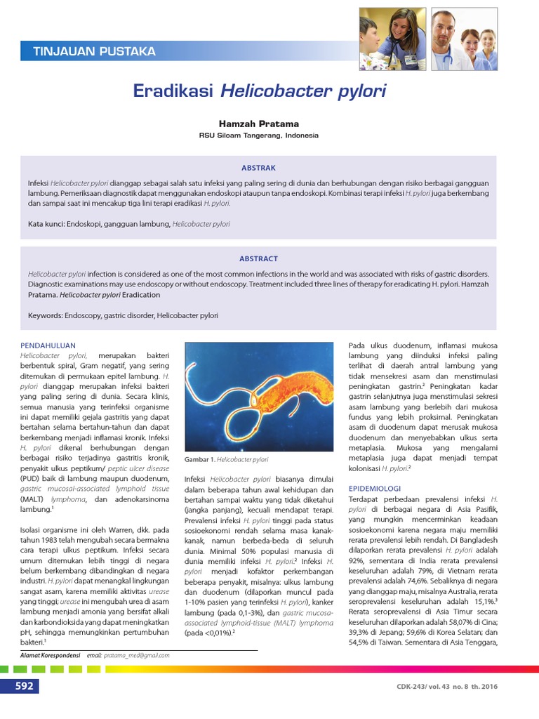Infeksi Helicobacter pylori | PDF | Pengembangan Diri