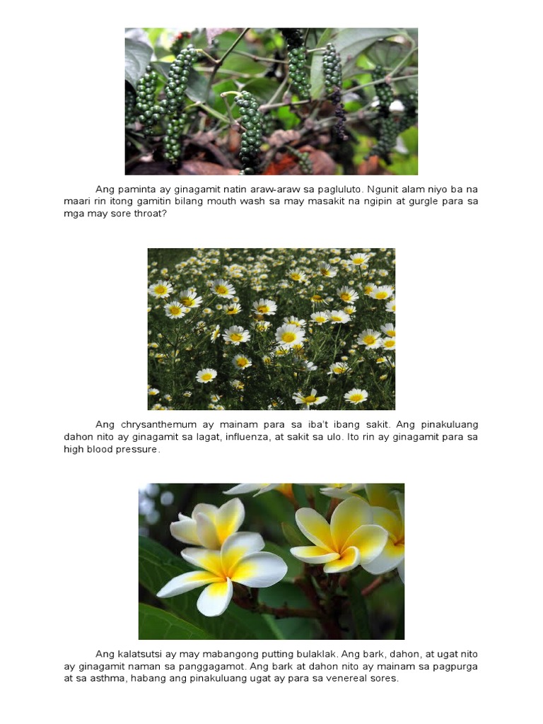 165383922-Mga-Halimbawa-ng-Anapora-at-Katapora.docx | Nuclear Reactor ...