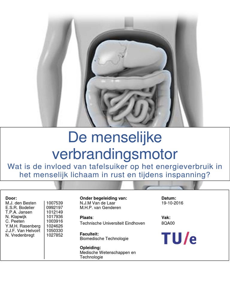 Verslag Definitief OGO25 | PDF