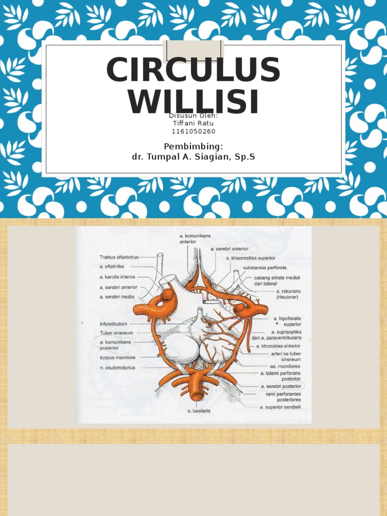 Circulus Willisi Tiffani Ratu | PDF