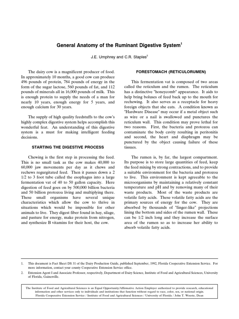 General Anatomy of The Ruminant Digestive System: Forestomach ...