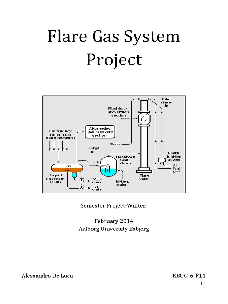 Flare Gas System Project Winter Semester | Extraction Of Petroleum ...