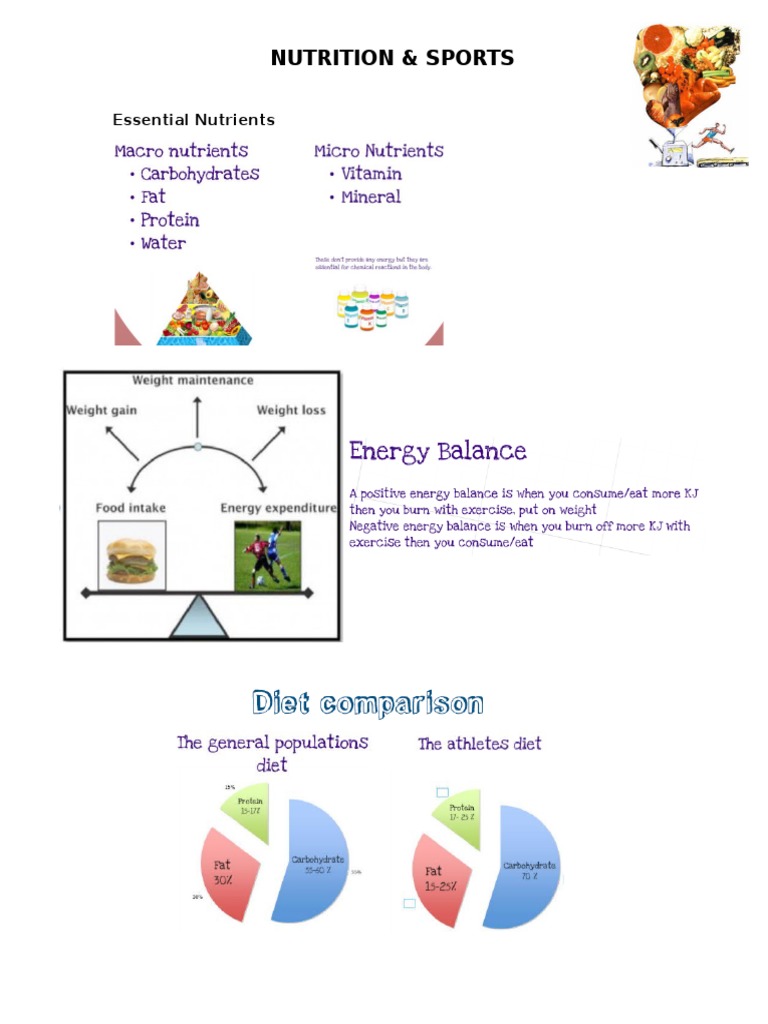 Nutrition Lesson 2 Student Handout Sheet | PDF