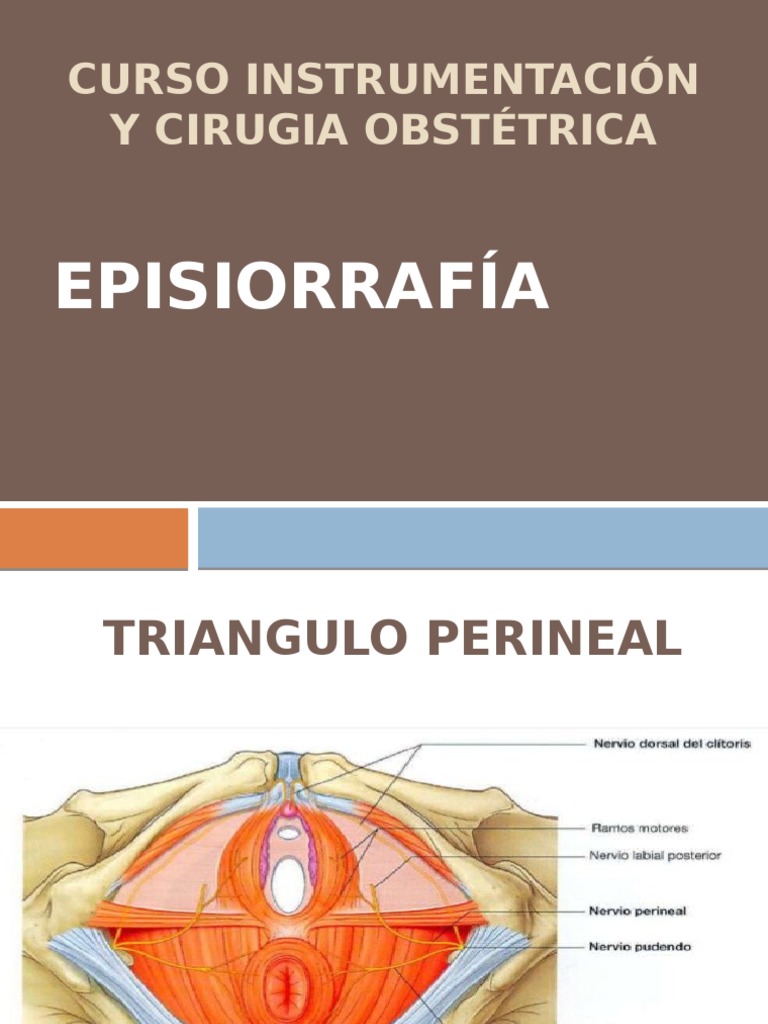 Episiorrafia 2015 | PDF