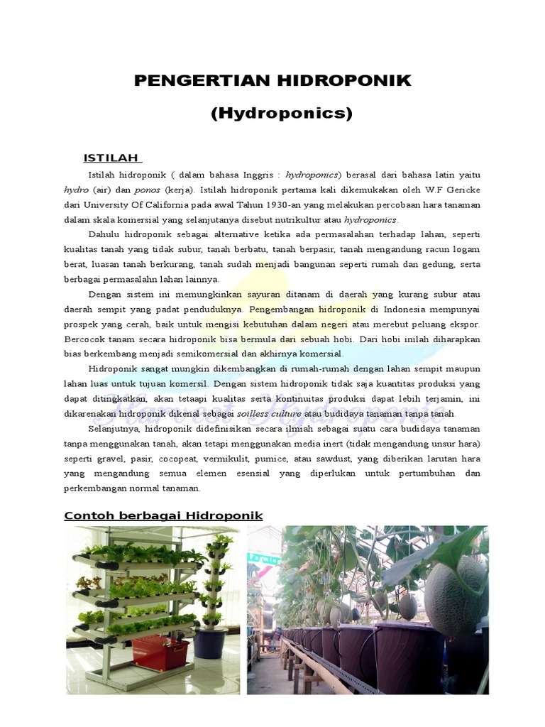 Materi Pelatihan Hidroponik | PDF