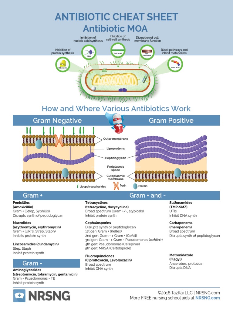 Antibiotic Cheat Sheet | PDF