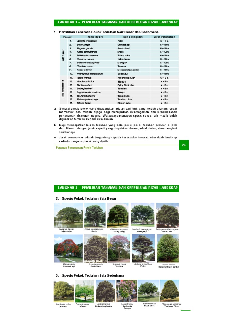 Panduan Penanaman Pokok Teduhan 3 | PDF | Griya & Taman