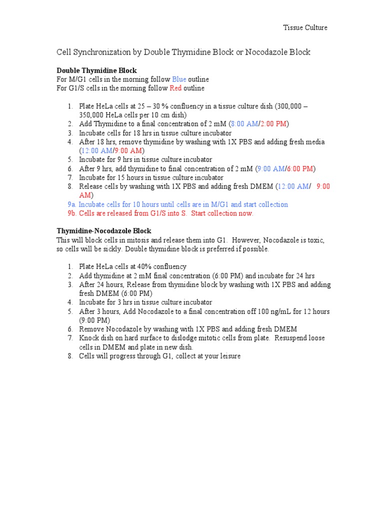 Cell Synchronization Techniques | PDF