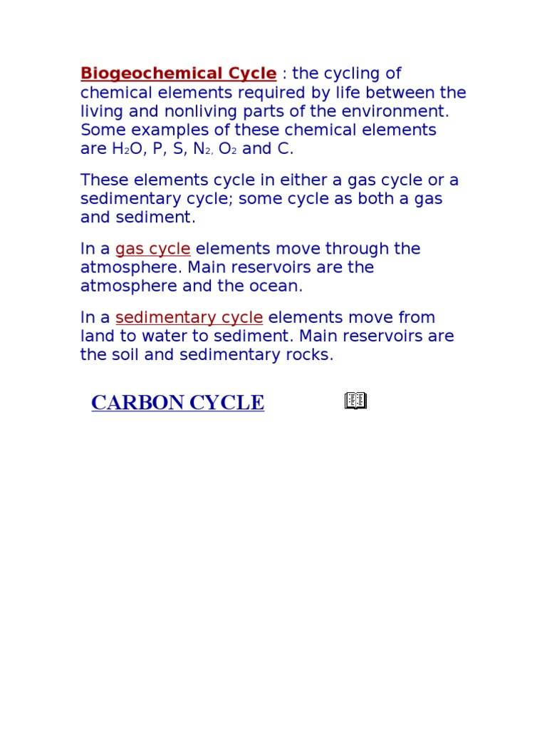 Biogeochemical Cycle | PDF | Carbon Dioxide | Carbon Cycle