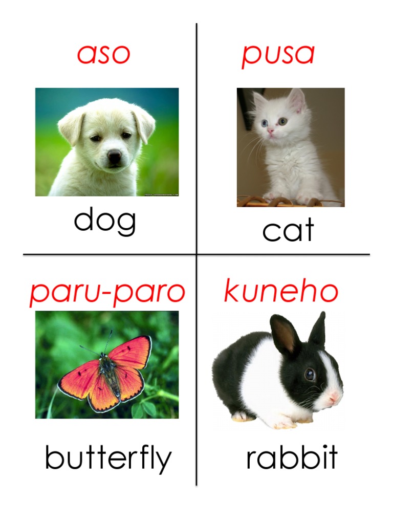 Tagalog Flashcards | PDF | Cognition | Languages