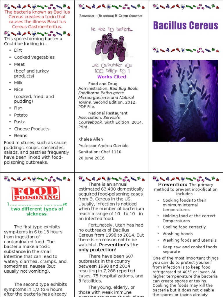 Pathogenic Microorganisms Brochure | PDF | Microbiology | Food And Drink