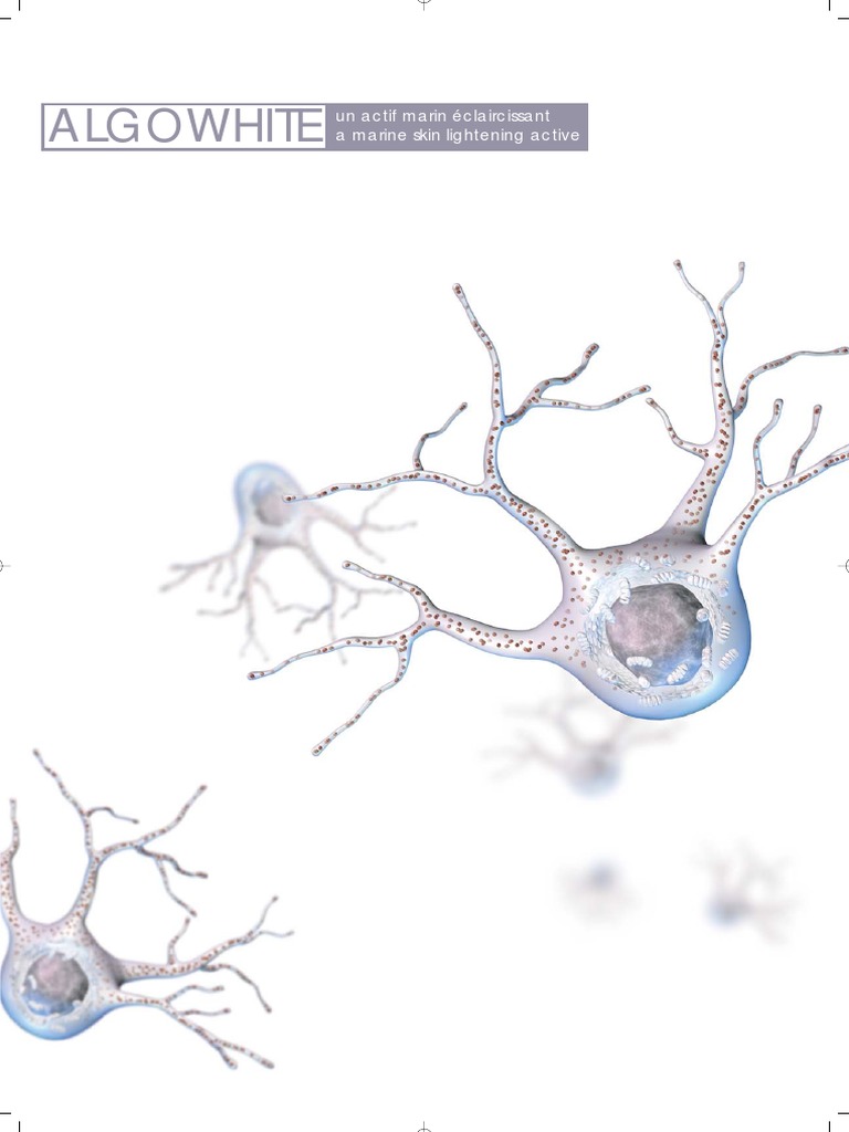 Algowhite Brochure | PDF | Epidermis | Biochemistry