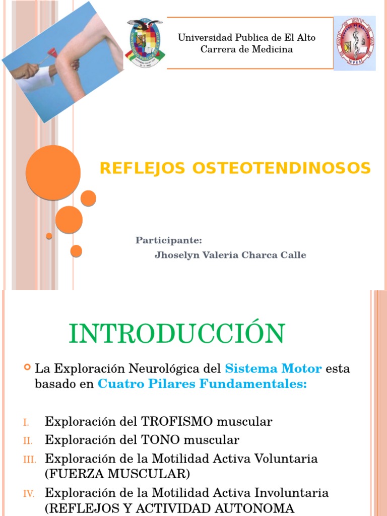 REFLEJOS OSTEOTENDINOSOS | Neuroanatomía | Extremidades (anatomía)