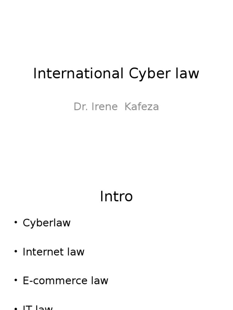 International Cyber Law: Dr. Irene Kafeza | PDF | E Commerce ...