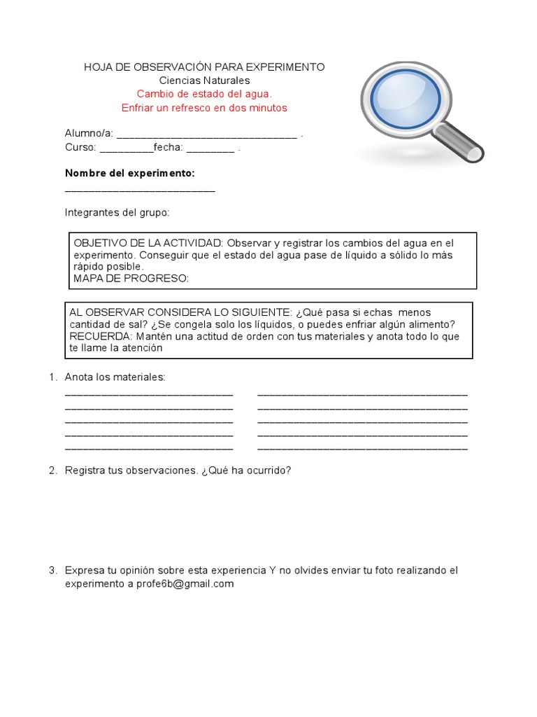 Hoja de Observación para Experimento | PDF | Cocina, comidas y vino ...