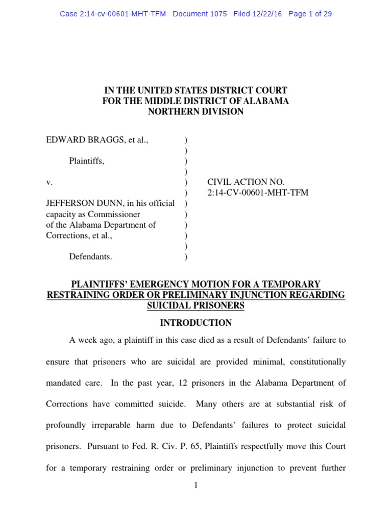 TRO Motion | Download Free PDF | Self Harm | Injunction