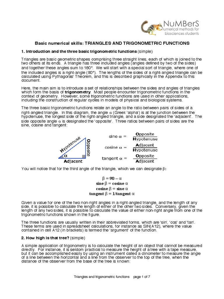 Basic Numerical Skills: Triangles and Trigonometric Functions | PDF ...