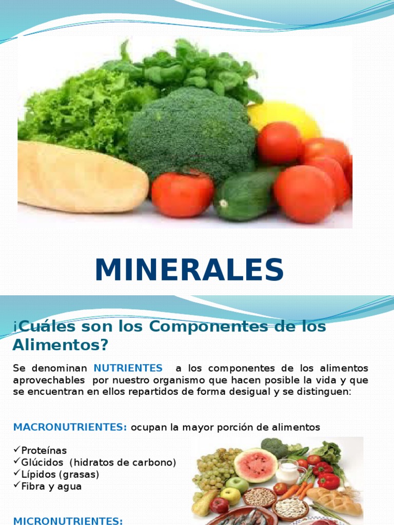 Clase 17 Minerales | PDF | Nutrientes | Alimentos
