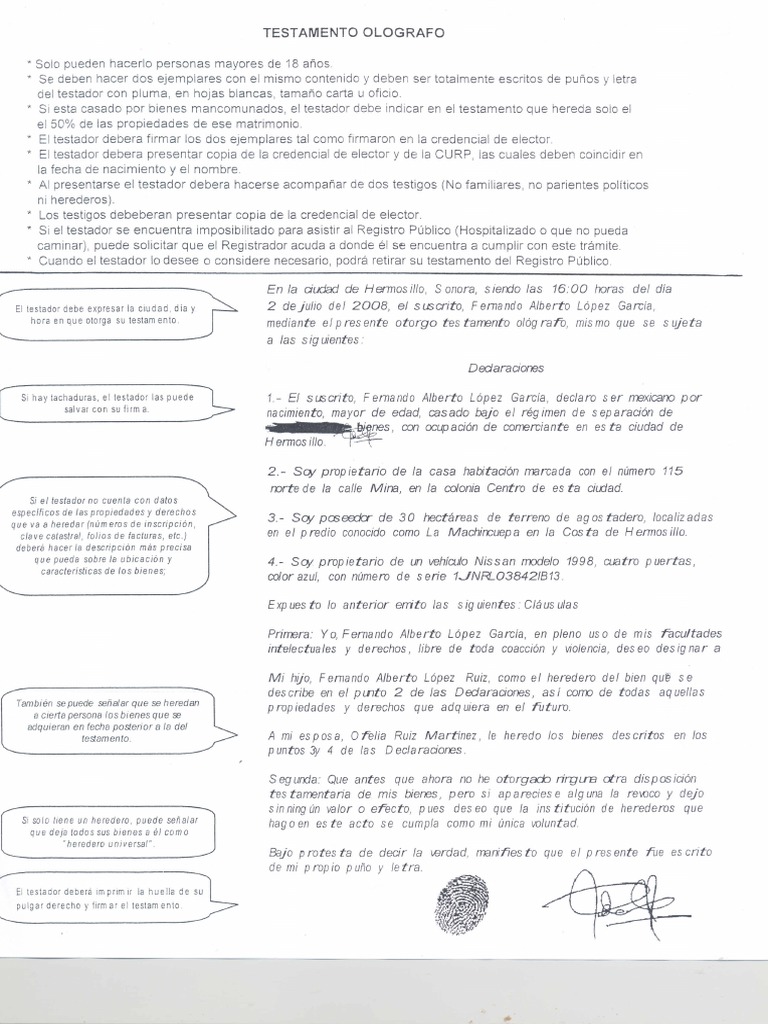 Testamento Olografo Ejemplo