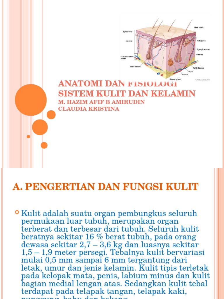 Anatomi Dan Fisiologi Kulit | PDF