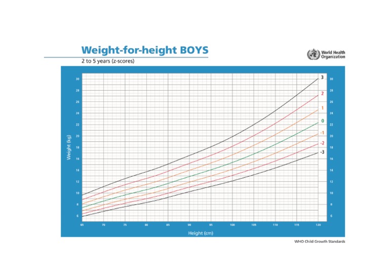 2 - 5 Tahun Laki-Laki Z-Score WHO | PDF