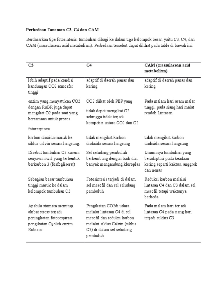 Perbedaan Tanaman C3, C4, CAM | PDF | Teknologi & Rekayasa