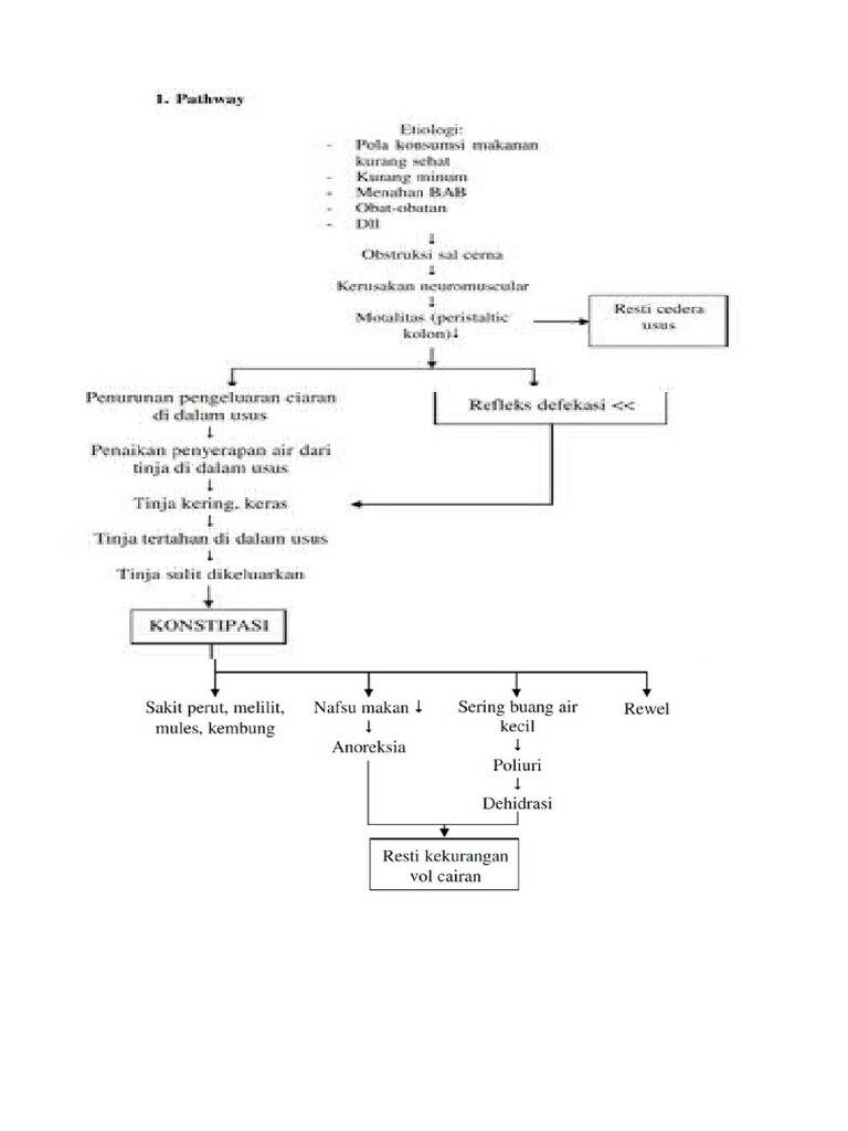 Pathway Konstipasi | PDF