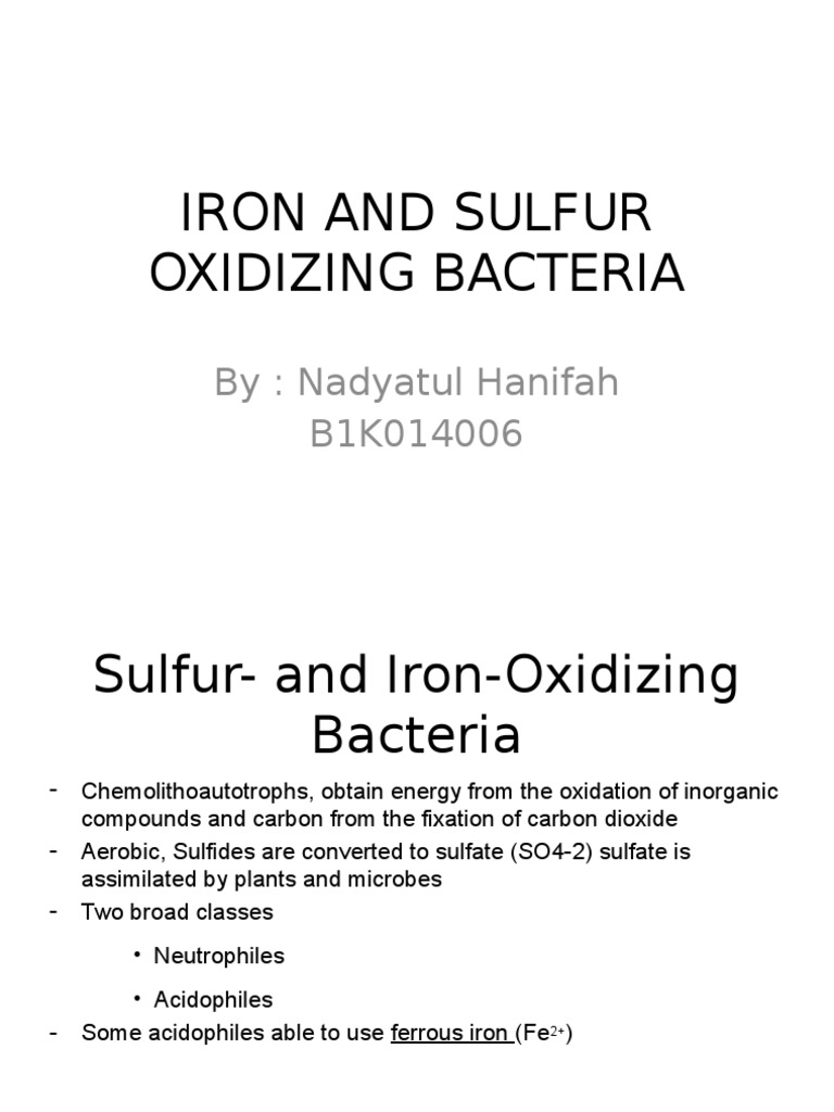 Iron and Sulfur Oxidizing Bacteria | PDF | Chemistry | Physical Sciences