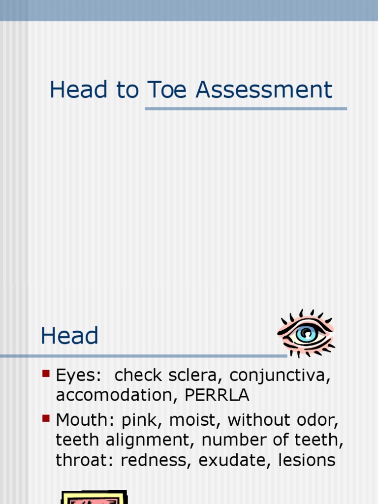 Head to Toe Physical Assessment Guide | PDF | Cardiovascular System ...